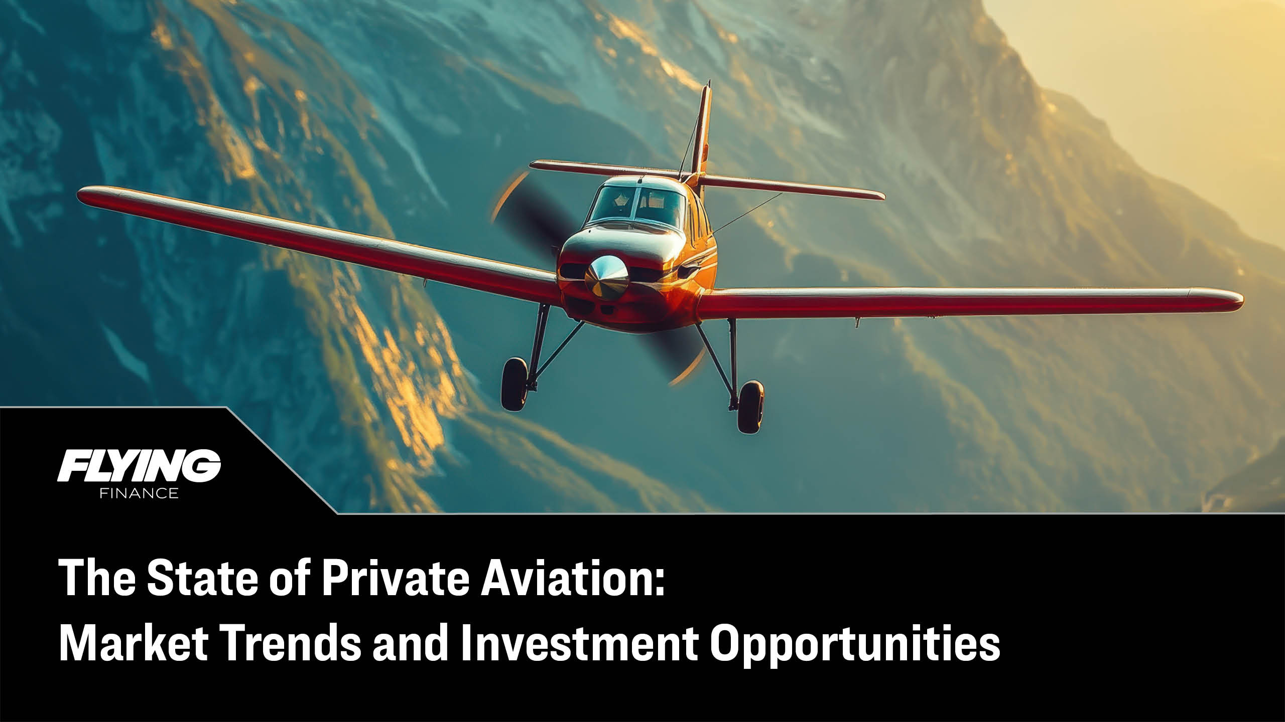 White Paper - State of Private Aviation Market: Trends and Investment ...